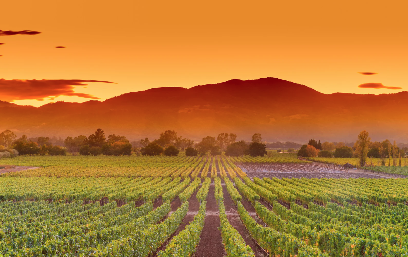 Our Environmental Stewardship Pledge | Sprague Pest Solutions