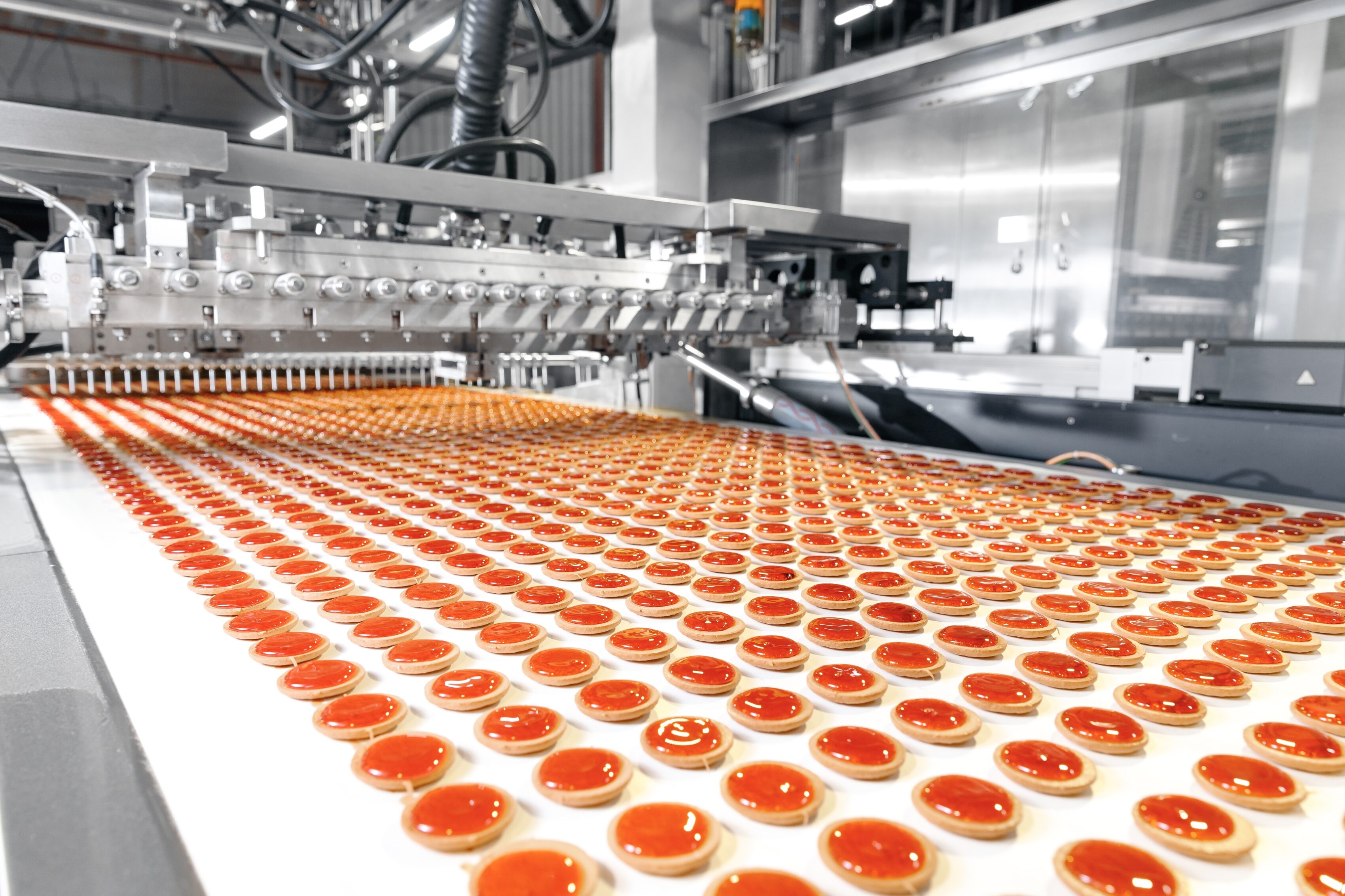 New Food Processor Maintenance Program: Helpful Tips Guide - Sprague ...